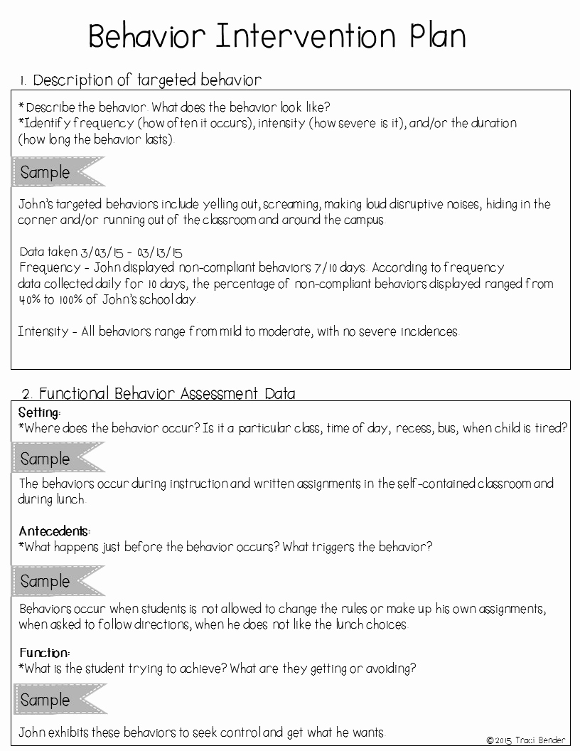 30 Behavior Intervention Plan Template
