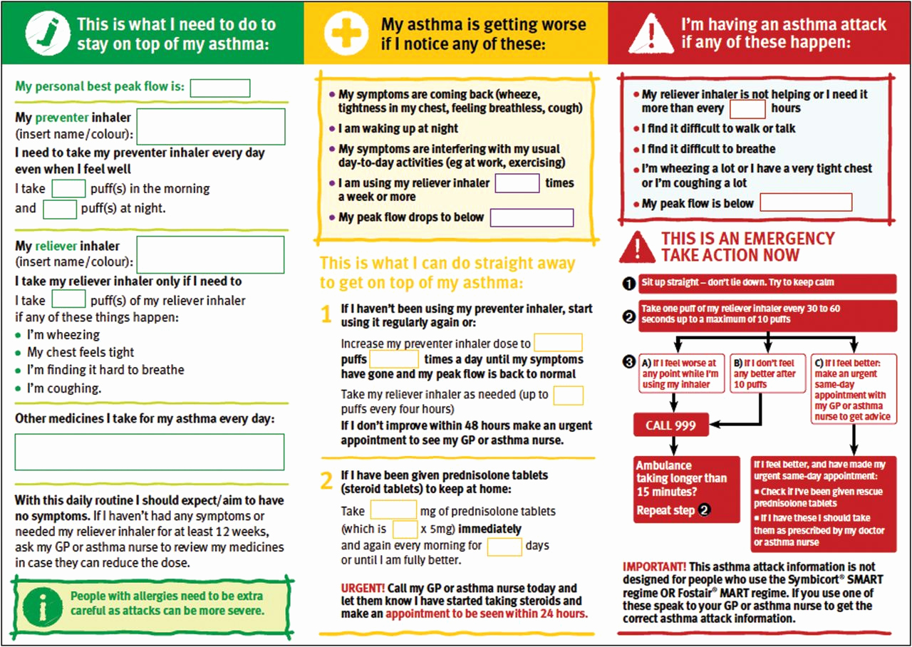 30 Asthma Action Plan Form 30 Asthma Action Plan Form